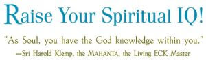 Raise Your Spiritual IQ Online Image Kit