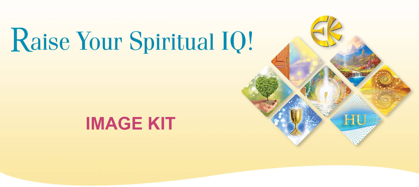 Raise Your Spiritual IQ Online Image Kit