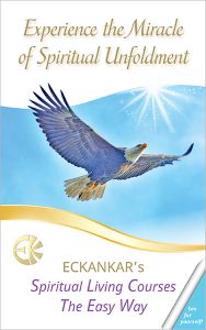 Raise Your Spiritual IQ Online Toolkit